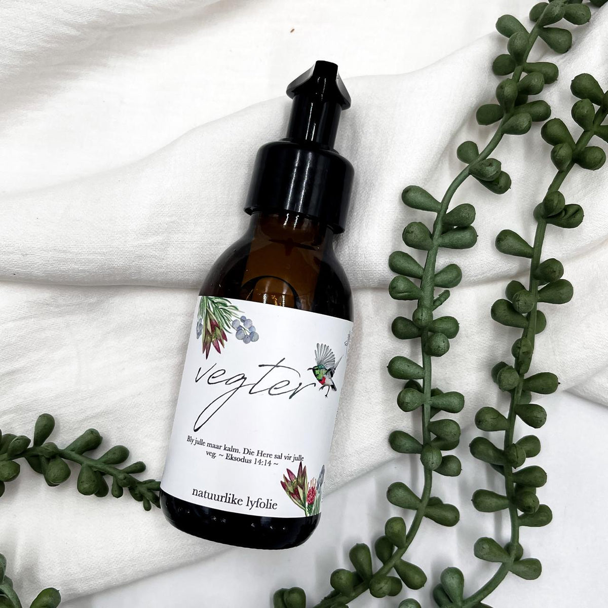 Vegter | Lyfolie – Skoonsus SS